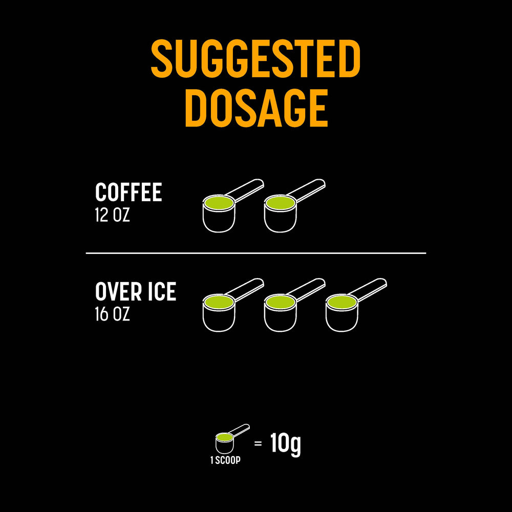 DVG DaVinci Gourmet Matcha Beverage Base Powder- 1kg