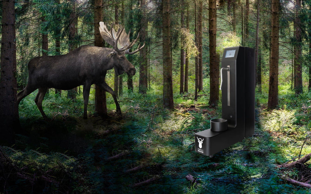 Perfect Moose Technical